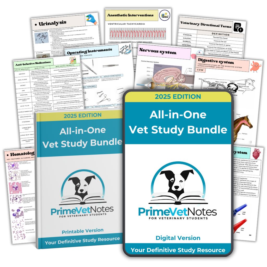 Prime Vet Notes