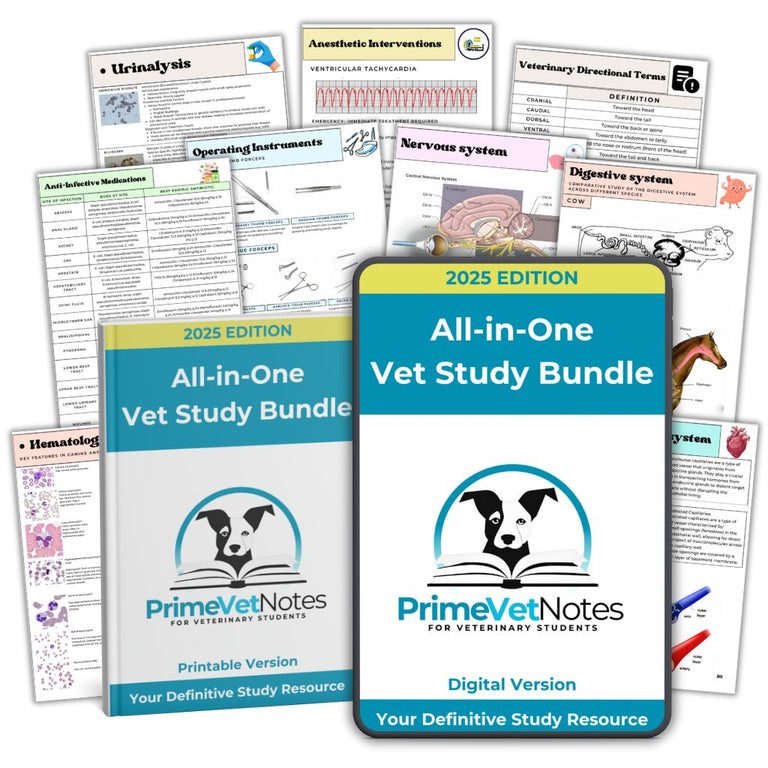 Prime Vet Notes